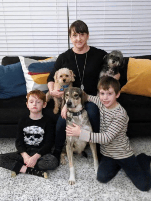 Dusty and his second chance to live – SPCA Puerto Vallarta