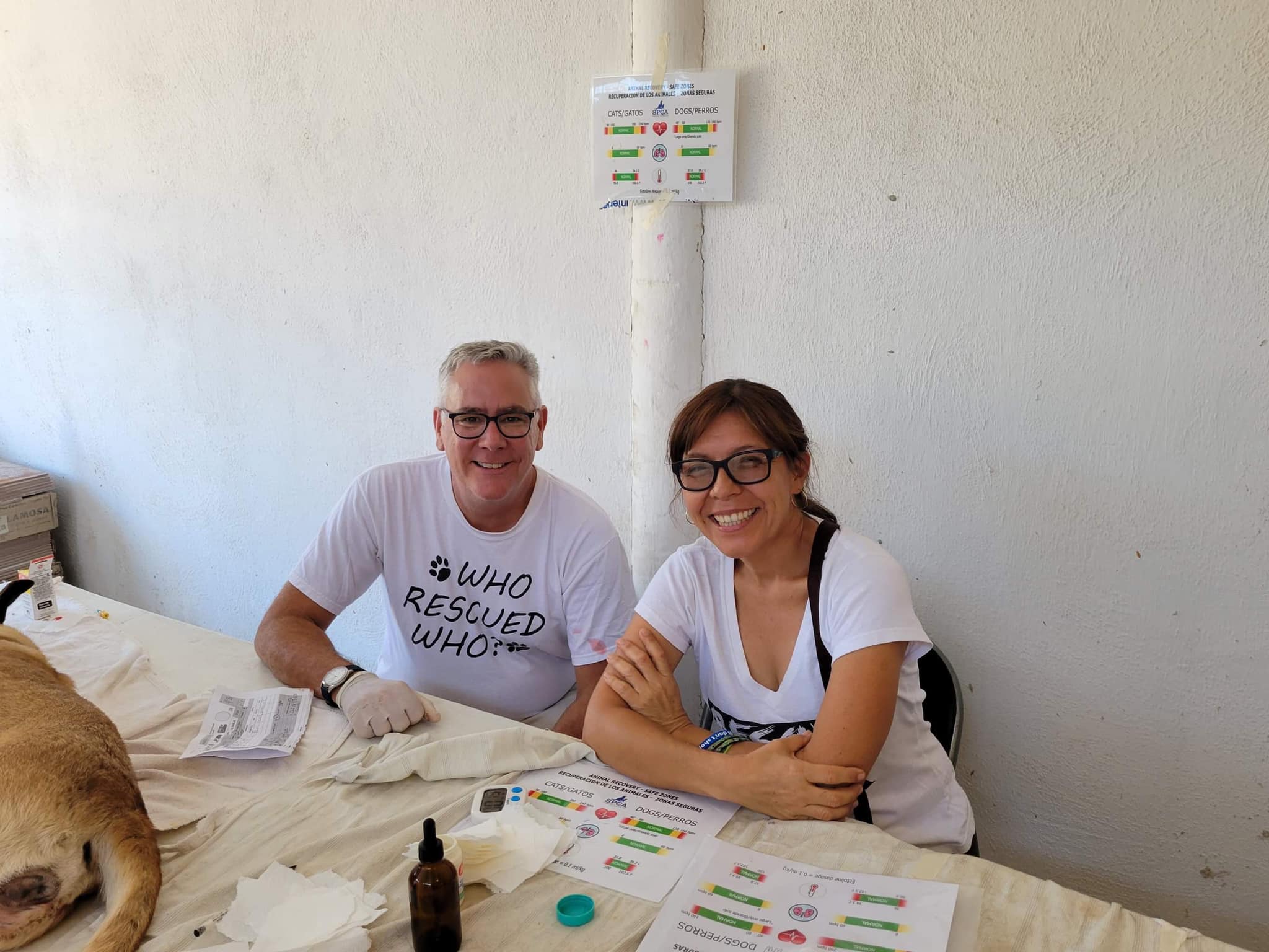 ABOUT US – SPCA Puerto Vallarta